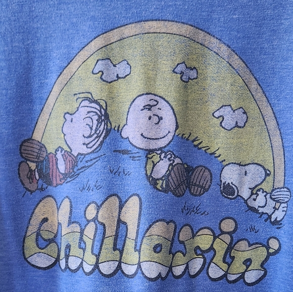Peanuts | Shirts | Peanuts Blue Charlie Brown And Snoopy Graphic Tee ...